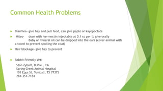 4-H Rabbit Project 101: In Depth Basics | PDF