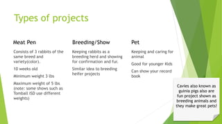 4-H Rabbit Project 101: In Depth Basics | PDF