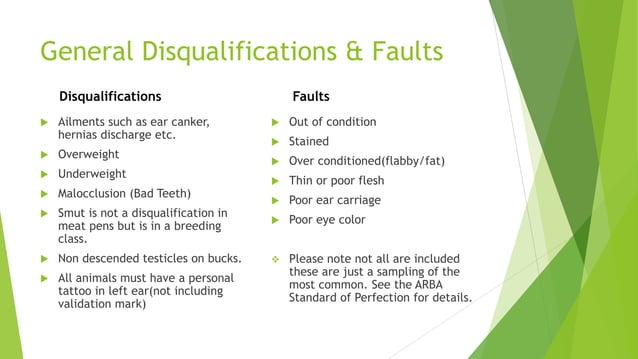 4-H Rabbit Project 101: In Depth Basics | PDF