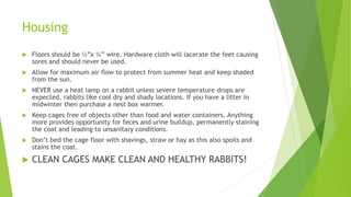 4-H Rabbit Project 101: In Depth Basics | PDF