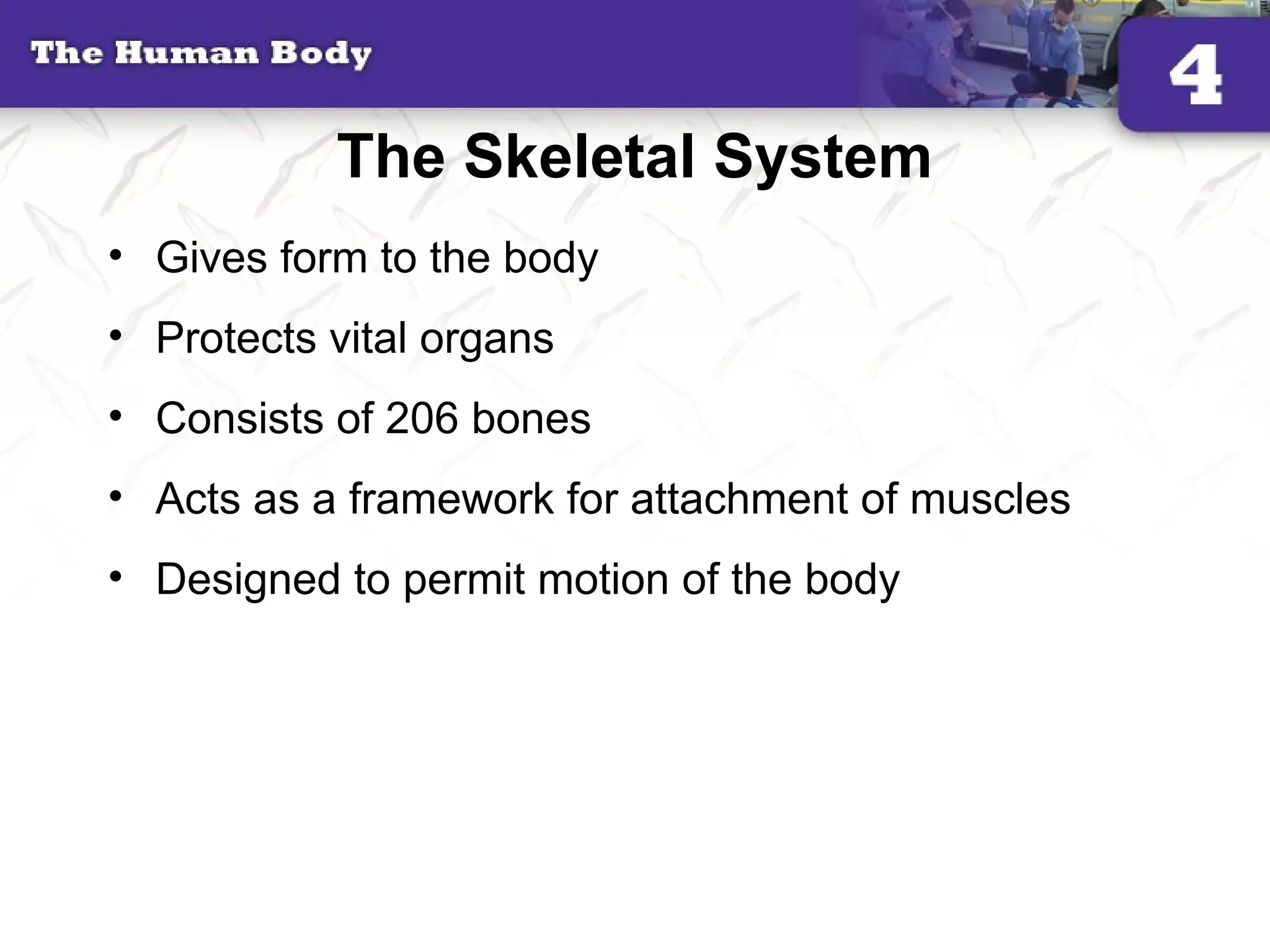 4-human-body 1 Human Body EMT guideliness to practice | PPT