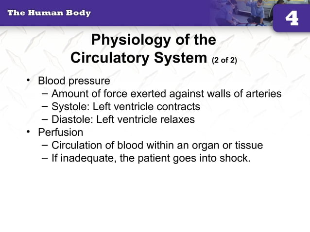 4-human-body 1 Human Body EMT guideliness to practice | PPT