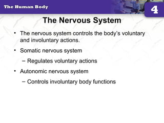 4-human-body 1 Human Body EMT guideliness to practice | PPT