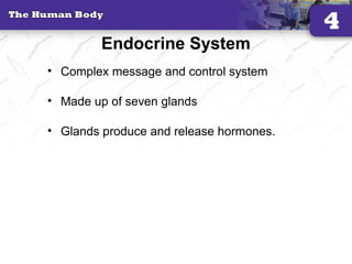 4-human-body 1 Human Body EMT guideliness to practice | PPT