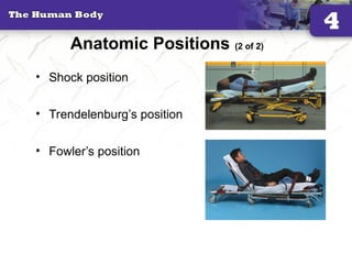 4-human-body 1 Human Body EMT guideliness to practice | PPT
