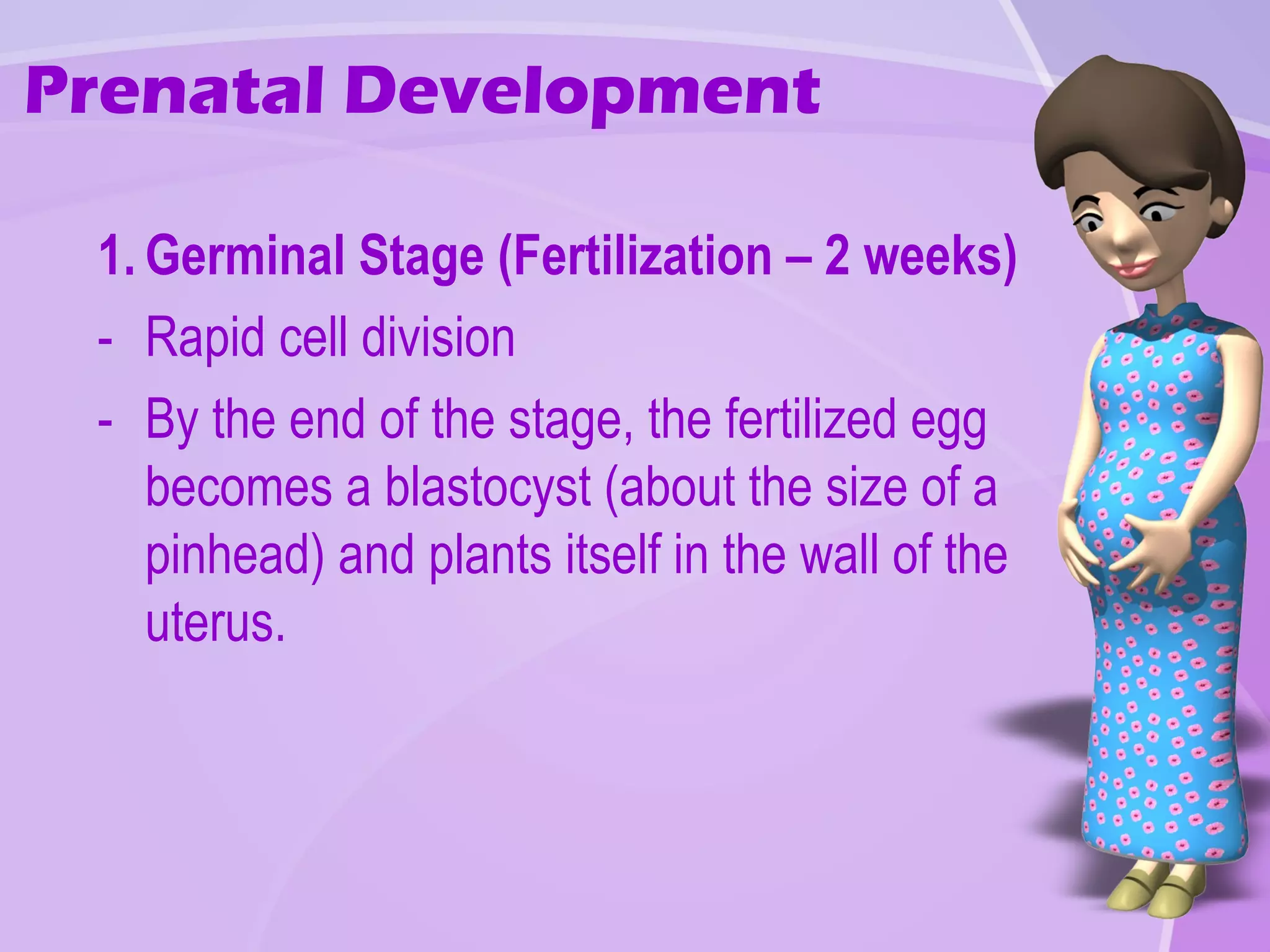 4.human development presentation | PPT