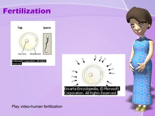 4.human development presentation | PPT