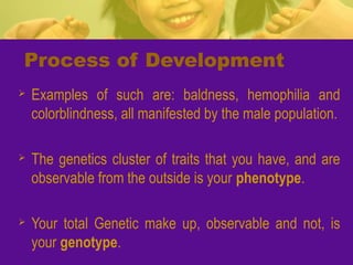 4.human development presentation | PPT
