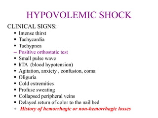 Hypovolemic Shock Symptoms