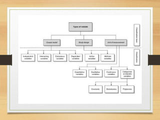 identifying variables | PPTX
