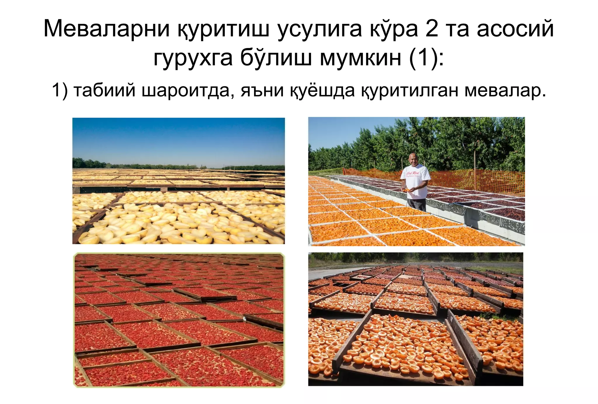 Сушка продуктов | PPT