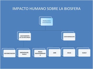 impacto ambiental | PPT