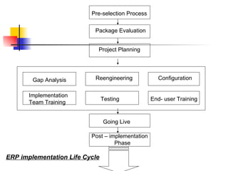 Implementation life cycle | PPT