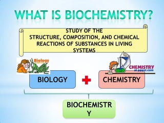 Biochemistry Examples In Everyday Life