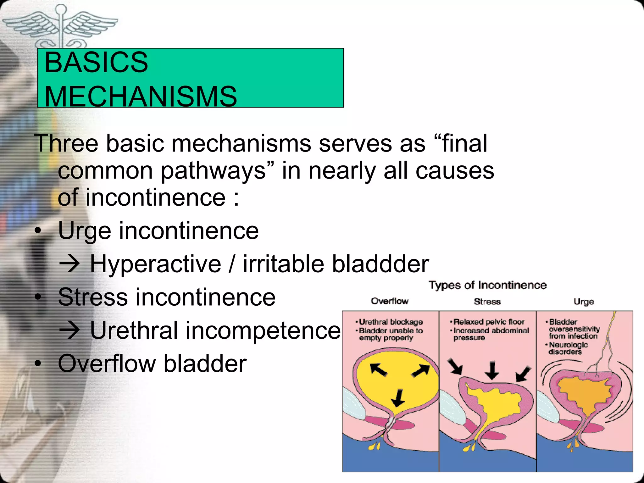 4 inkontinensia-urin | PPT