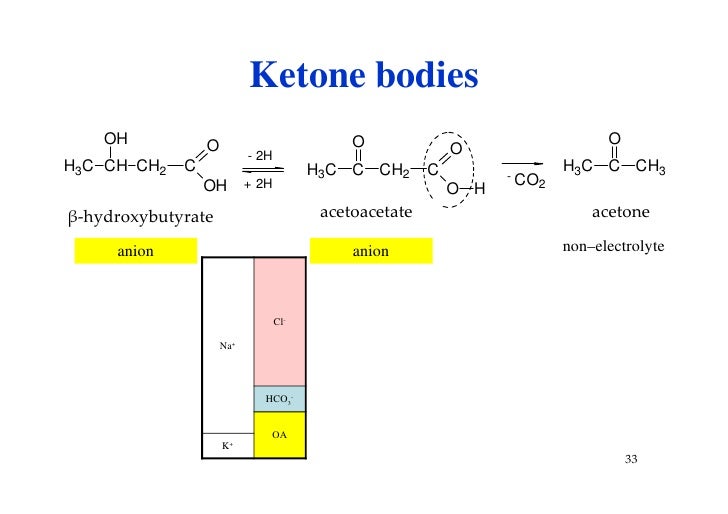 4 integration of metabolism