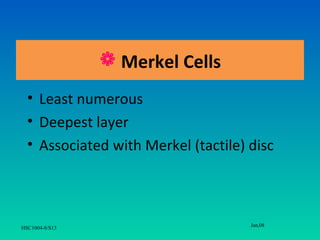 4. intergumentary | PPT