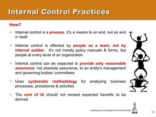 Internal audit | PPT
