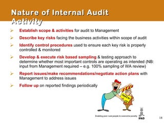 Internal audit | PPT