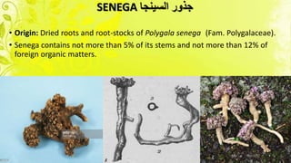 4 ipecacuanha, senega, jalap, aconite and gentian | PPTX