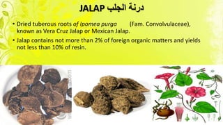 4 ipecacuanha, senega, jalap, aconite and gentian | PPT