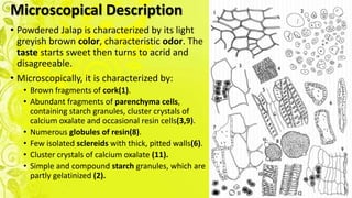 4 ipecacuanha, senega, jalap, aconite and gentian | PPTX