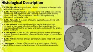 4 ipecacuanha, senega, jalap, aconite and gentian | PPT