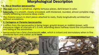 4 ipecacuanha, senega, jalap, aconite and gentian | PPT