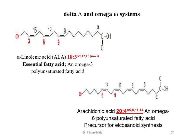 4 ipids lecture 4 siham