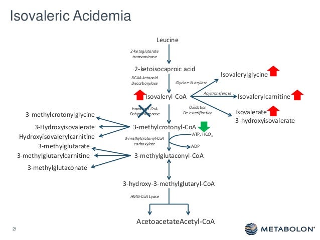 John Ryals- Impacto de las ciencias ómicas en la medicina, nutrición