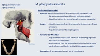 4-Kiefergelenk_Kaumuskeln_LB_10_02_2020_1_DZ_Ana_IV-1-1.pdf