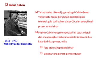 Pemahaman teoritik fotosintesa pada tumbuhan.ppt