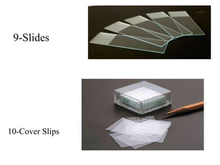 4 laboratory safety guidelines | PPTX