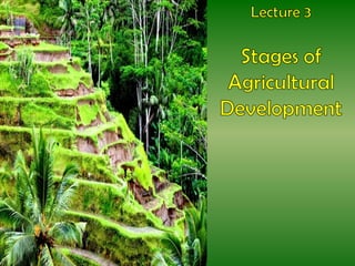 Development Stages in World Agriculture | PPT