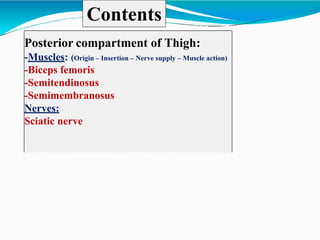 4- Lecture Posterior Comp. of thigh.pdf
