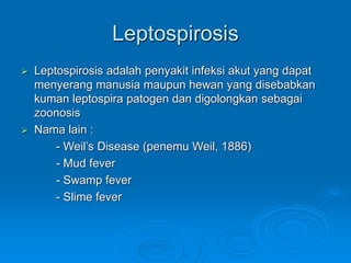leptospira | PPT