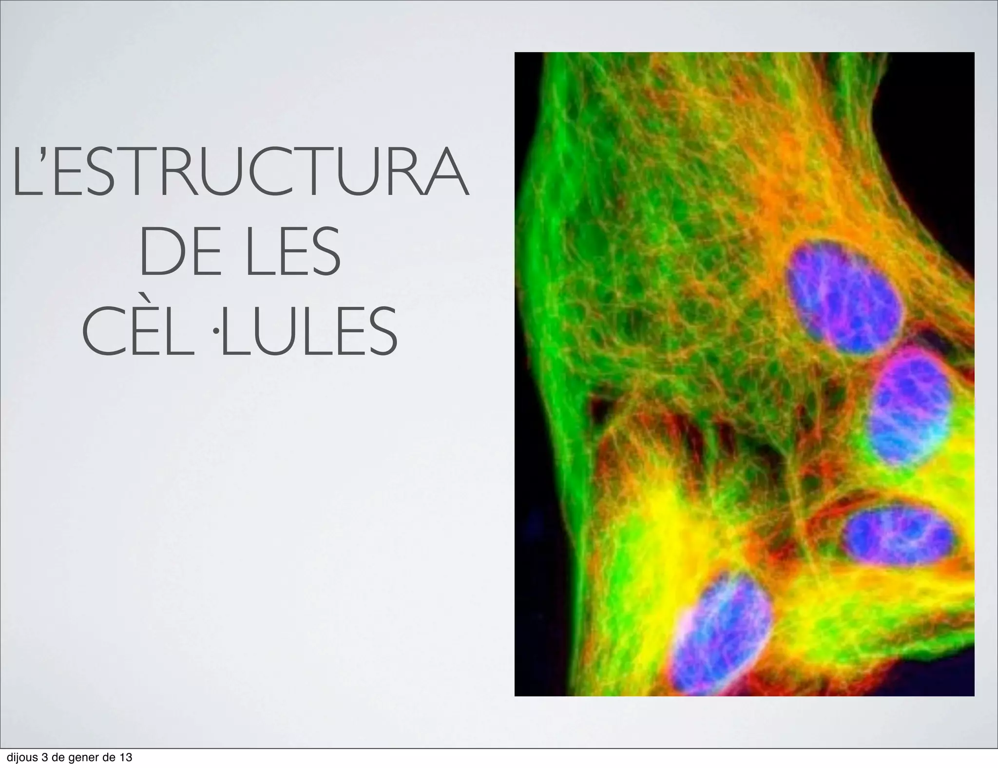 31. L’estructura de les cèl·lules | PDF