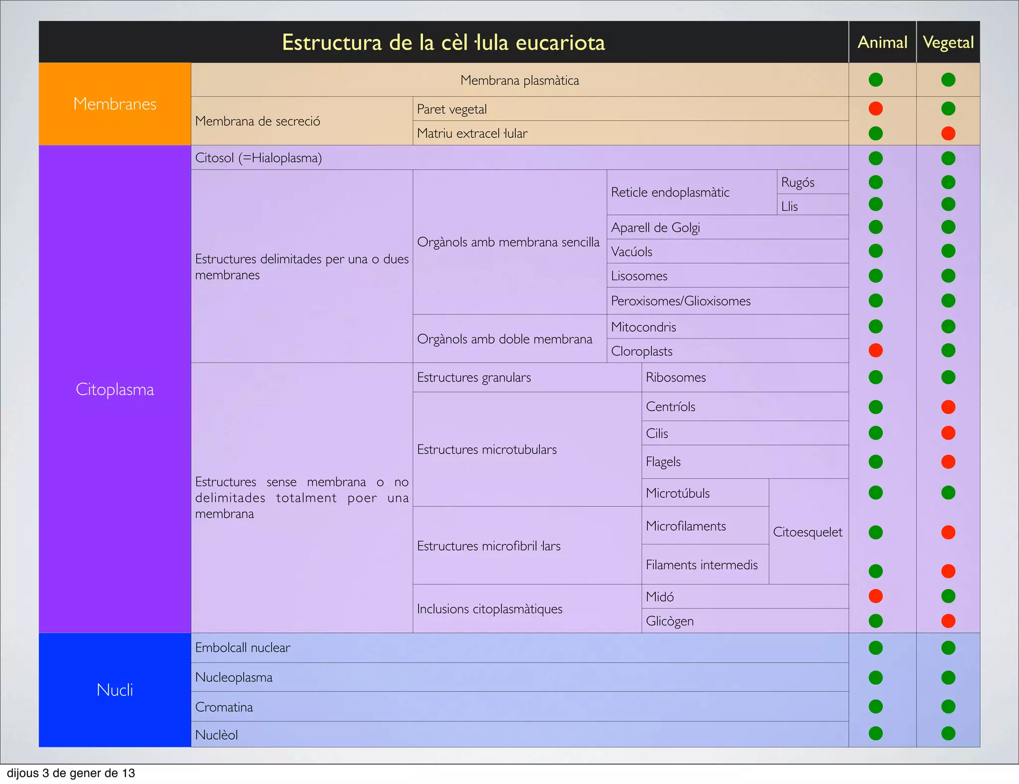 31. L’estructura de les cèl·lules | PDF