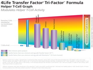 4 life statistics | PPT