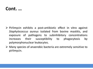 Antibiotic Groups - Lincosamides | PPTX