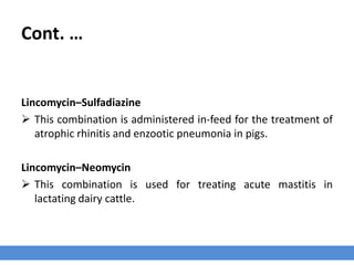Antibiotic Groups - Lincosamides | PPTX