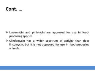 Antibiotic Groups - Lincosamides | PPTX
