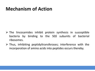 Antibiotic Groups - Lincosamides | PPTX