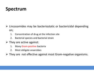 Antibiotic Groups - Lincosamides | PPTX
