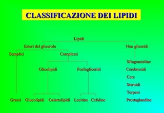 4 - LIPIDI DETERMINAZIONE DEI GRASSI GREGGI | PPT