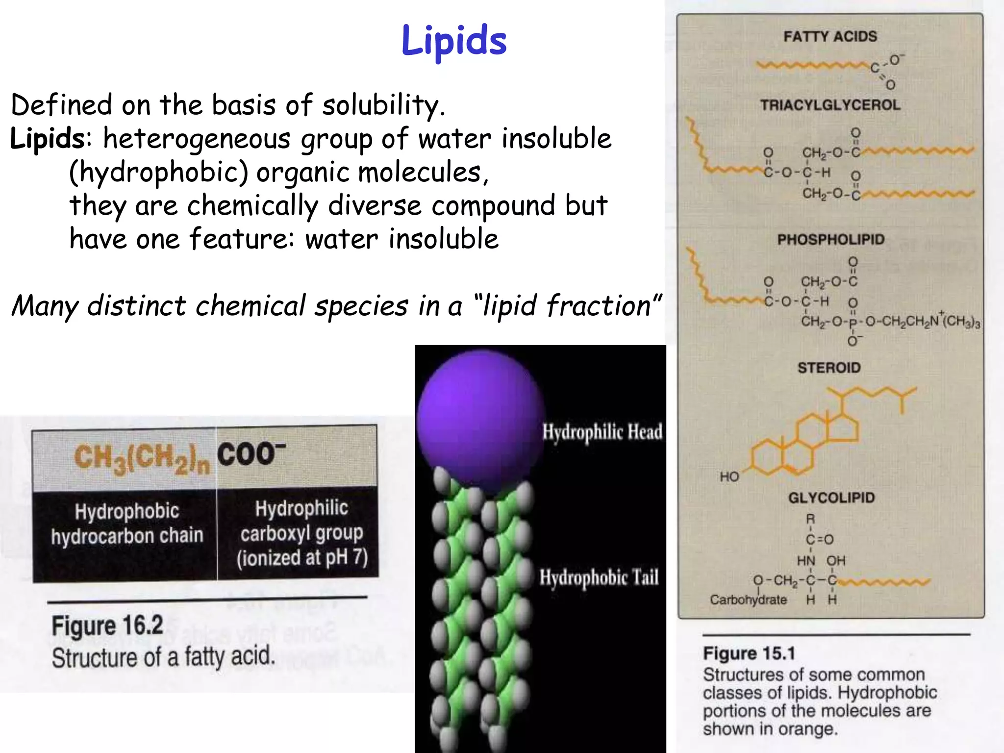 4- lipids (2).pptx