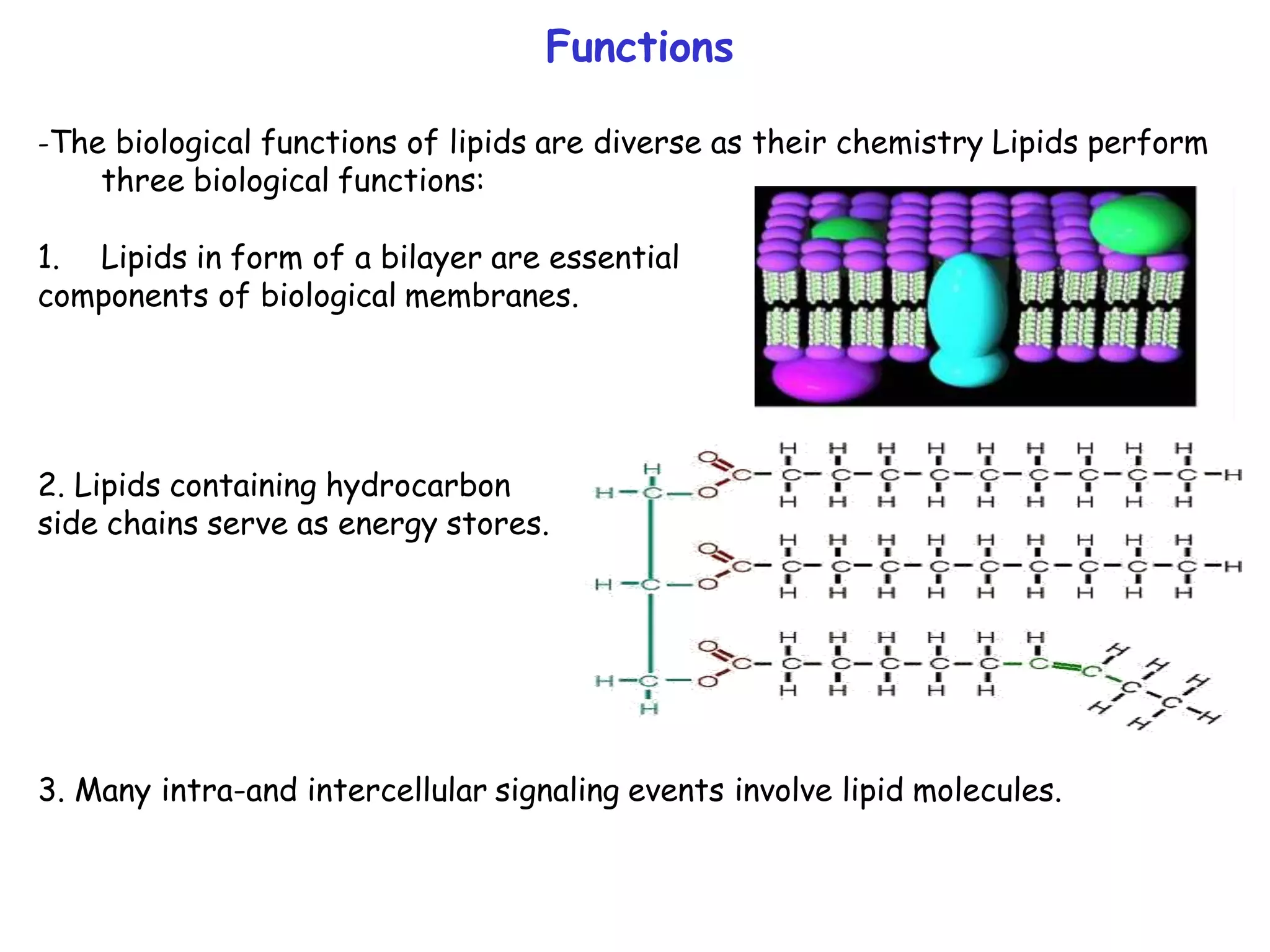 4- lipids (2).pptx