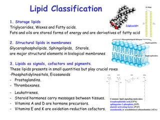 4- lipids (2).pptx