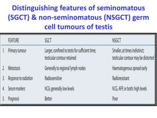 MALE GENITAL TRACT – TESTICULAR TUMORS | PPTX