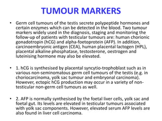 MALE GENITAL TRACT – TESTICULAR TUMORS | PPTX